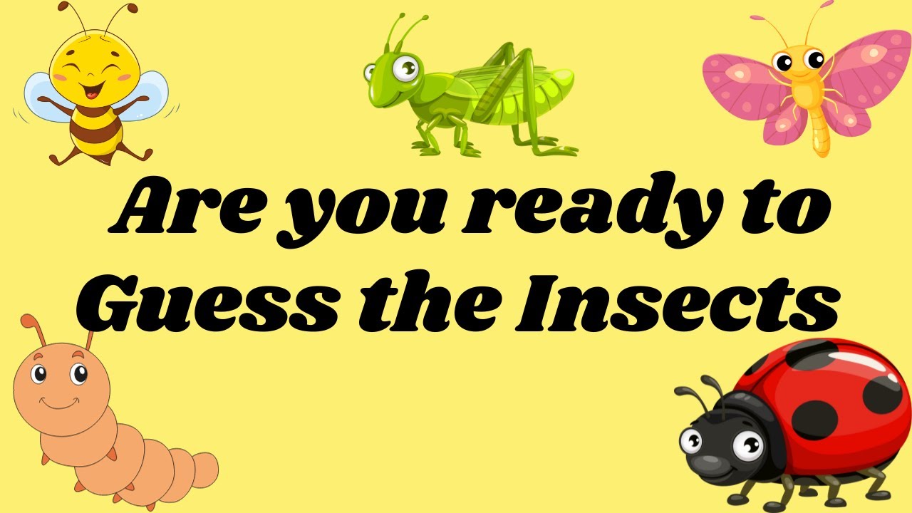 "Guess the Insect Names: Entertaining Learning for Children" - YouTube