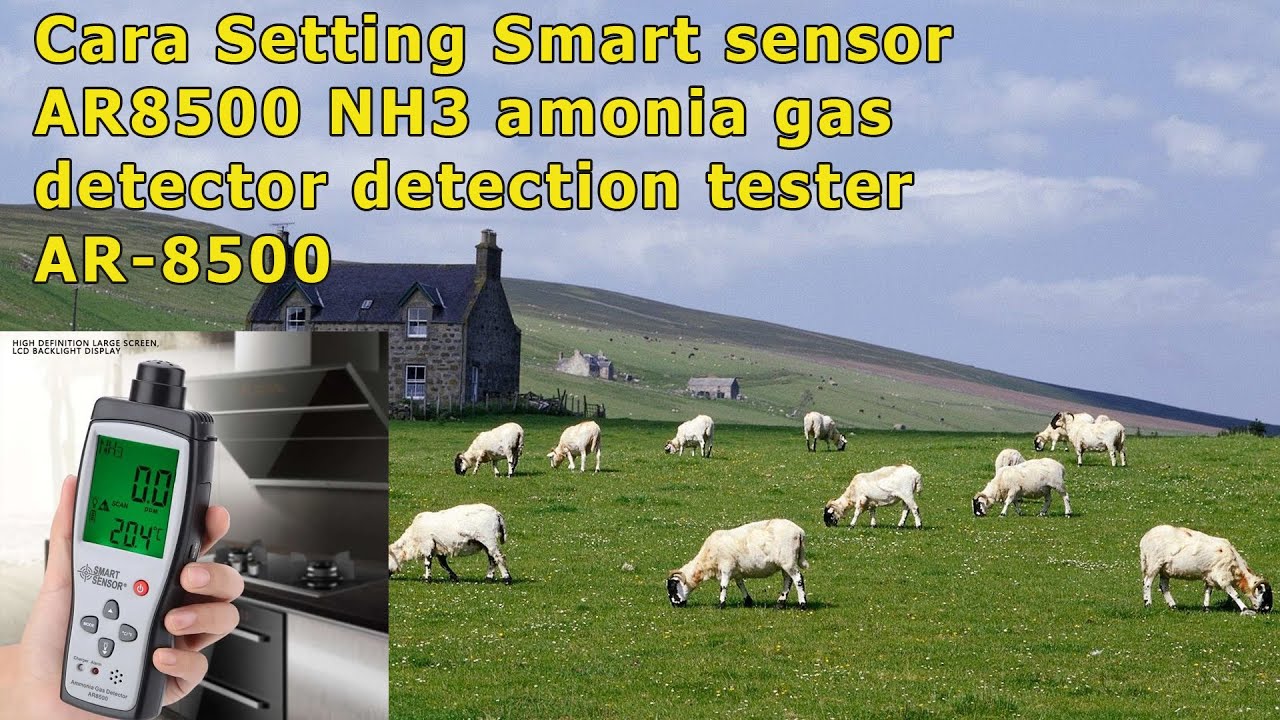 Cara Setting Smart sensor AR8500 NH3 amonia gas detector detection ...