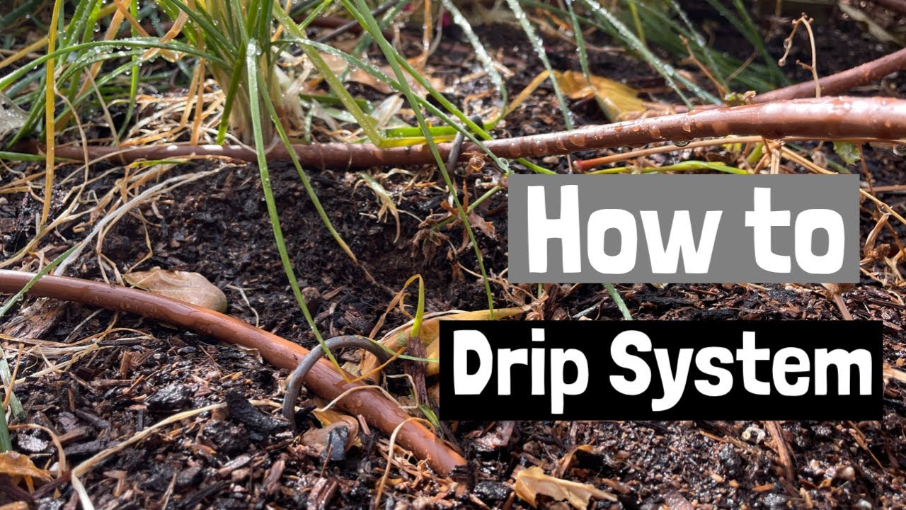 EASY SIMPLE DRIP SYSTEM IN A GARDEN BOX - YouTube