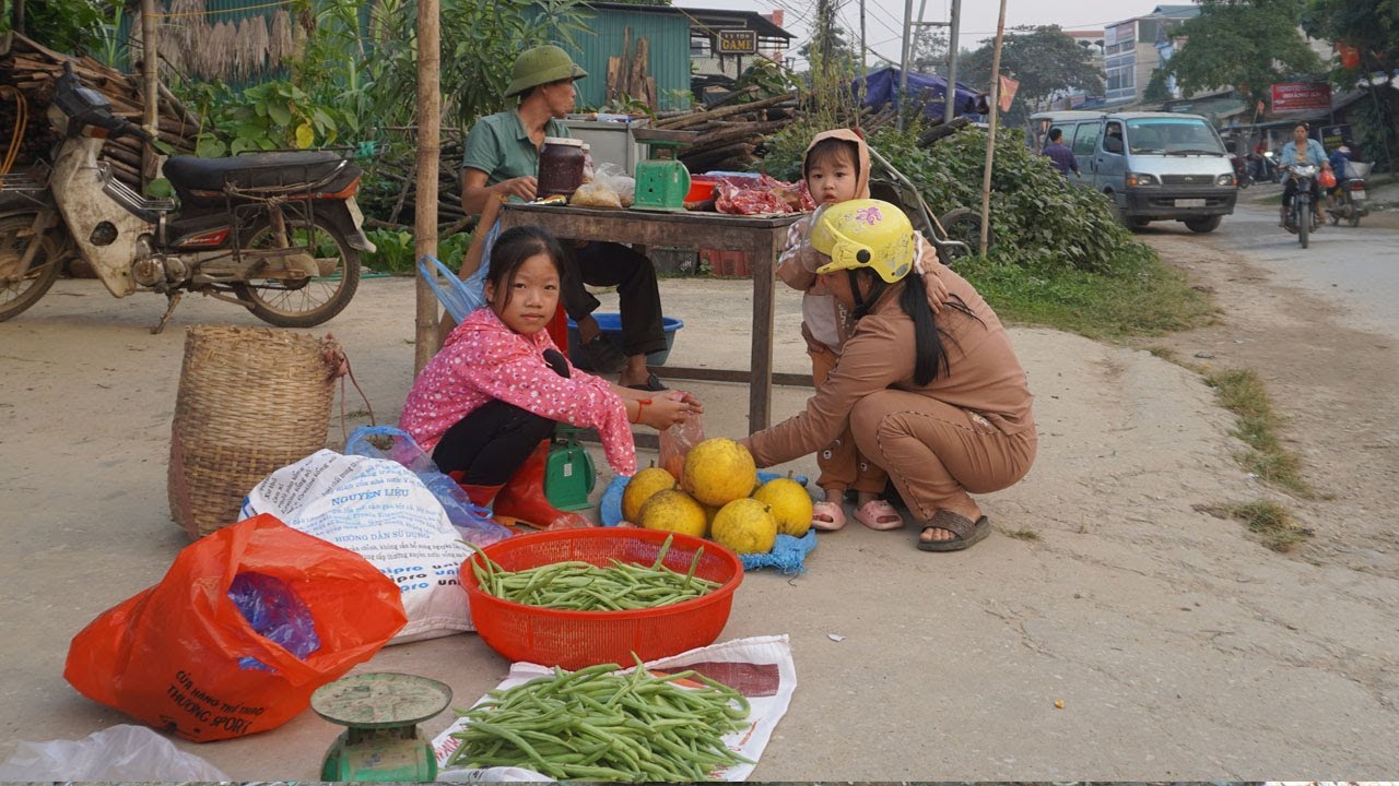 Poor girl. Harvest oranges and grapefruit to sell - Green forest life ...