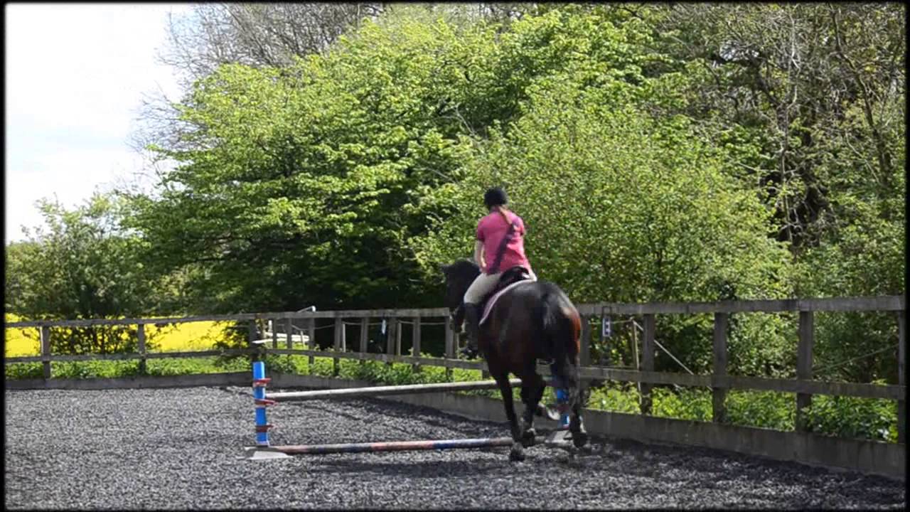 waiting for me || Shadow, Tybar and Storm jumping - YouTube