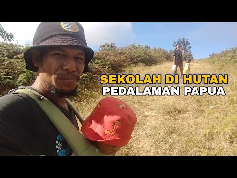 Guru pejuang Pedalaman Tambrauw Papua #papua_curly #pedalamanpapua # ...