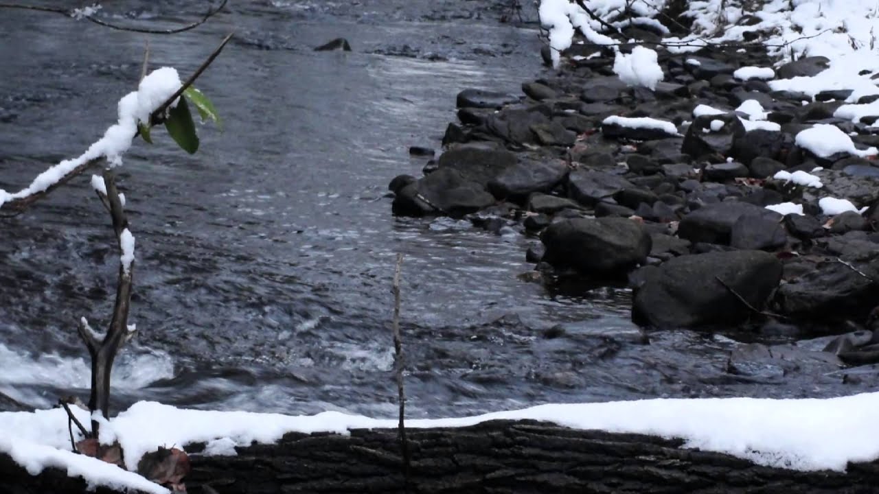 Camping In Moshannon State Forest PA pics - YouTube