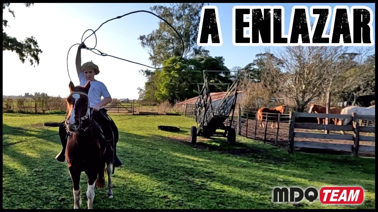 Aprendiendo a enlazar desde el caballo - YouTube