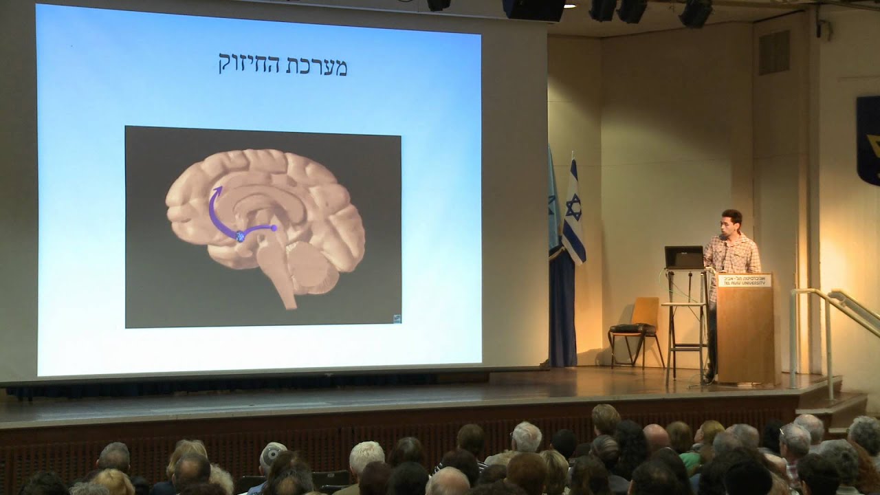 Ravid Doron - Israeli Brain Awarness Week 2012 - Part 1 - YouTube