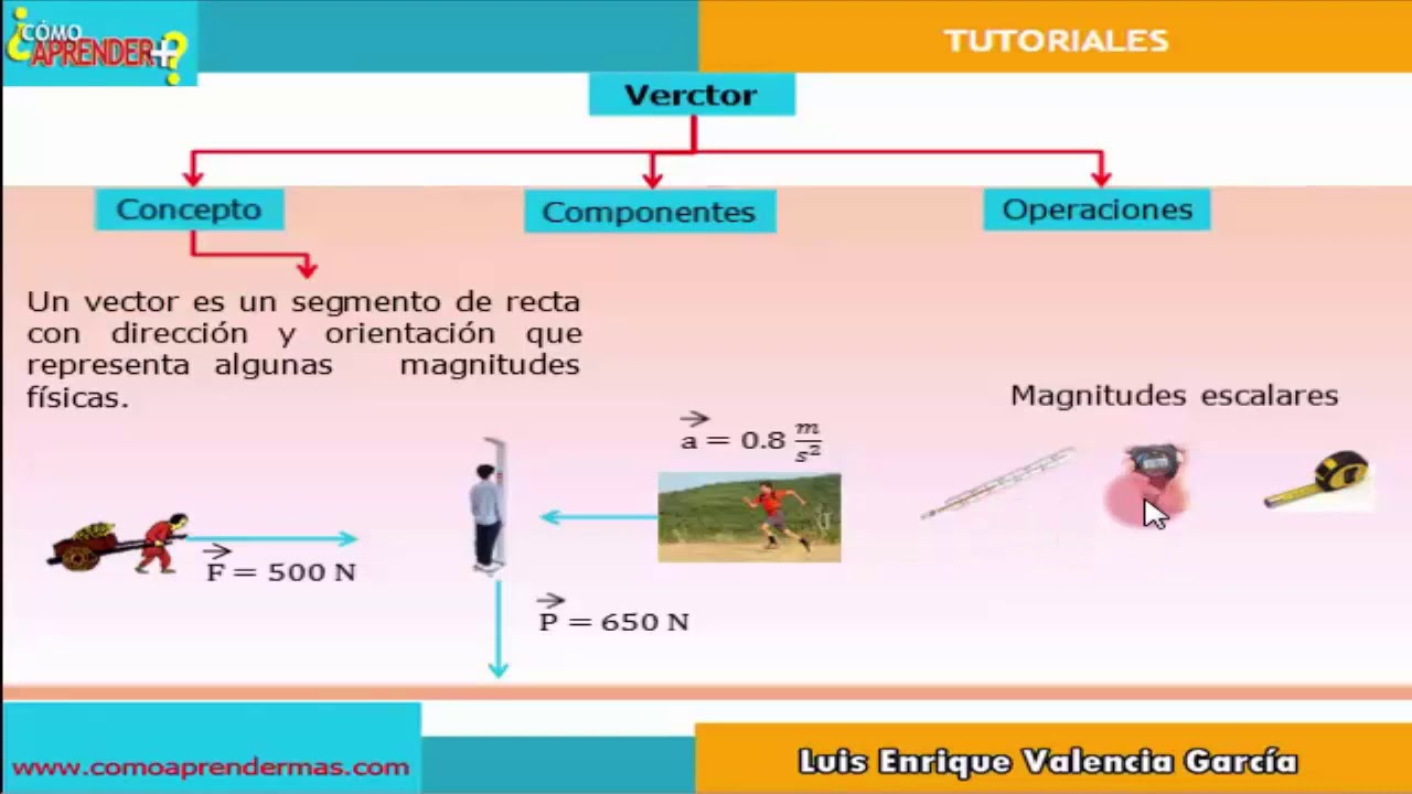 Concepto de vector - YouTube