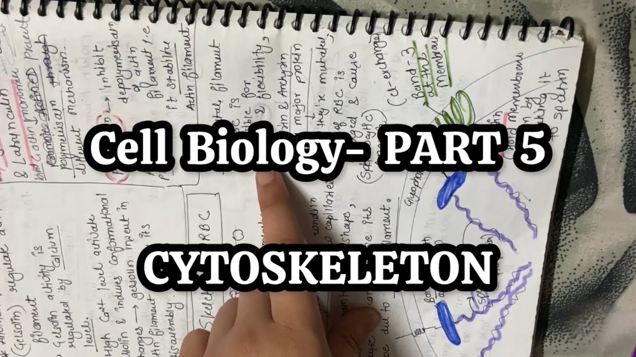 Cell Biology- PART 5🧬 || Cytoskeleton in Detail || - YouTube