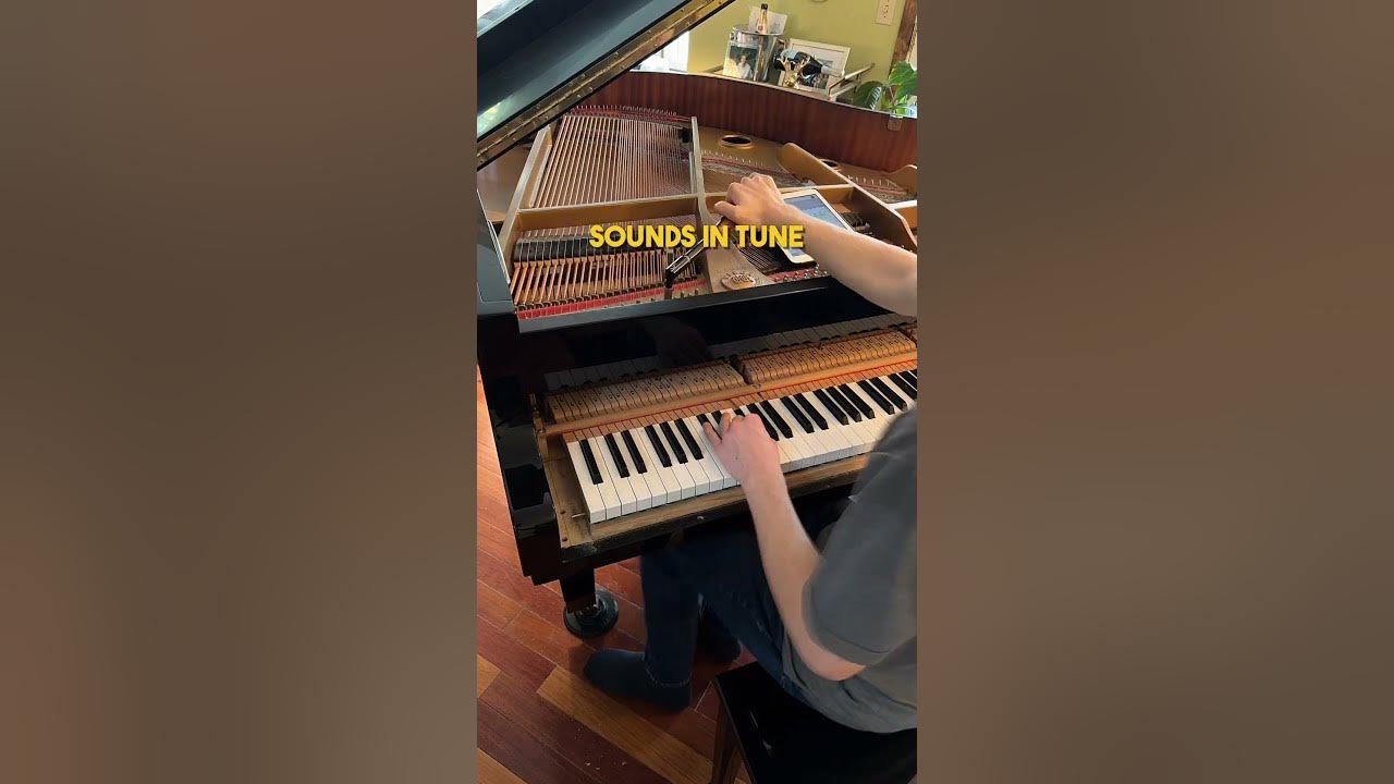 What Song Should I Play Next YouTube what-song-should-i-play-next-youtube