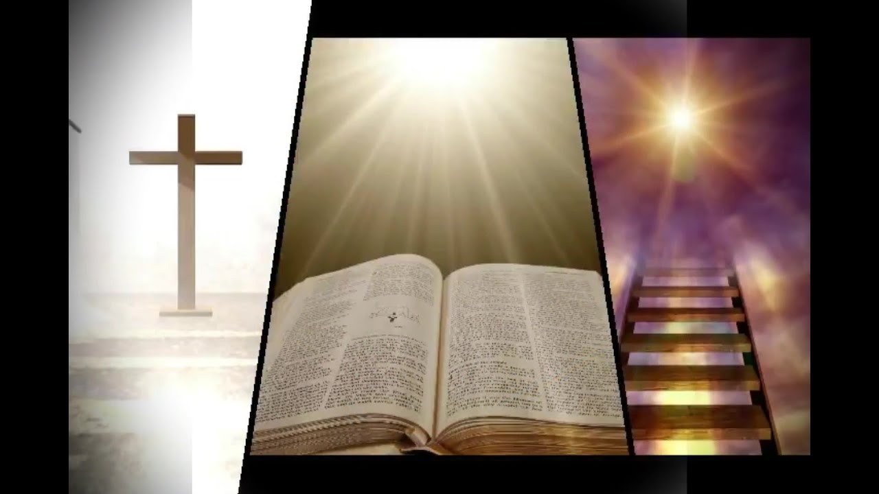 Word of Truth - Laws, Precepts,Codes and Permits! - YouTube