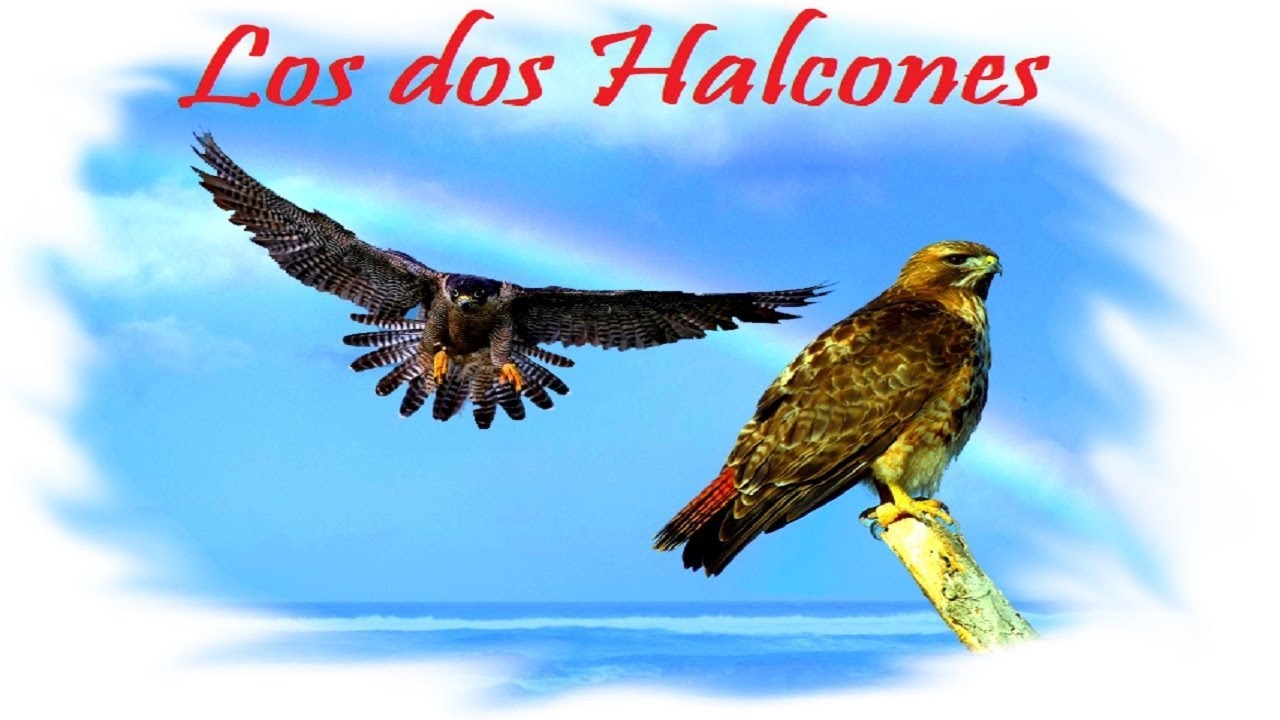 Los dos Halcones - YouTube