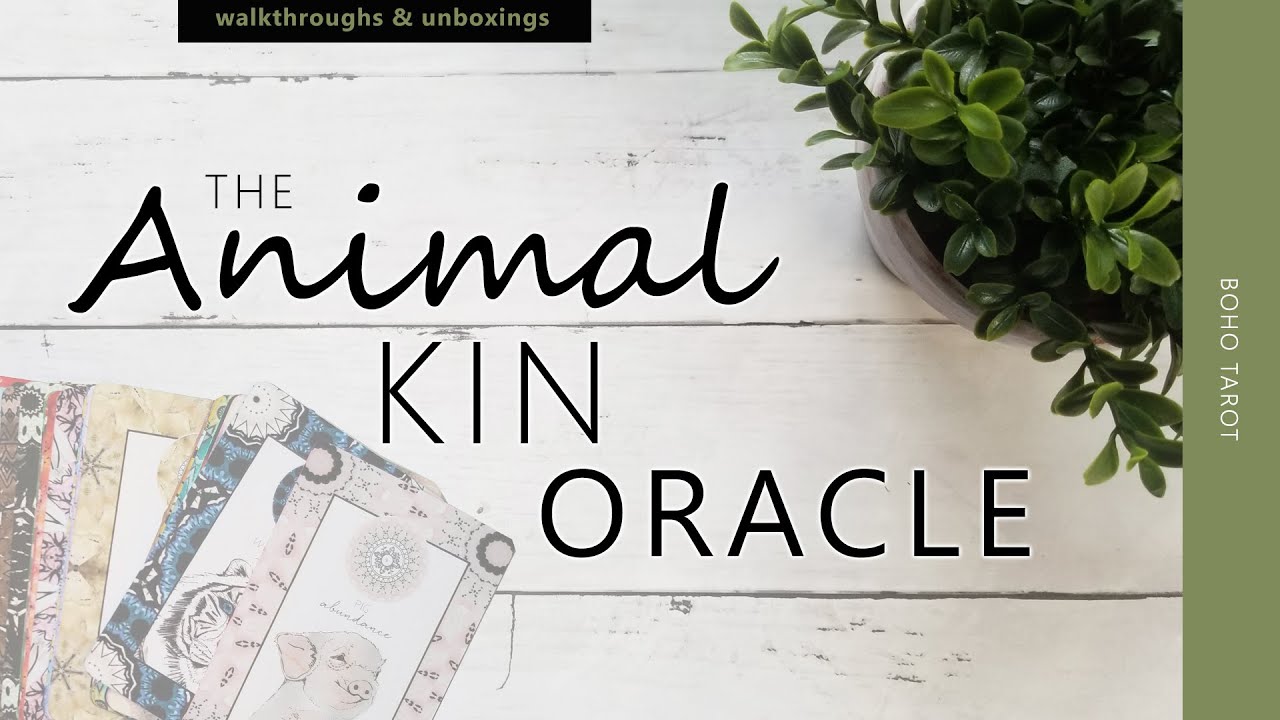Animal Kin Oracle (unboxing & impressions) - YouTube