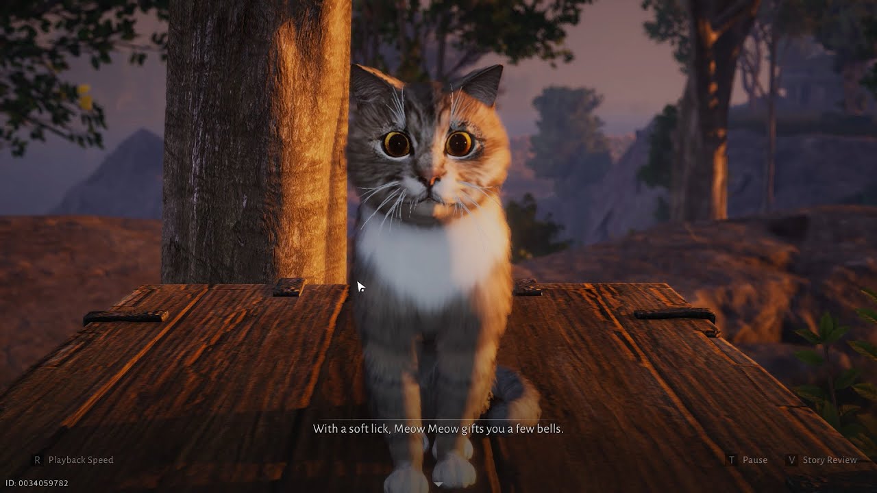 The Only Time We Get to See Meow Meow Like a Normal Cat - YouTube