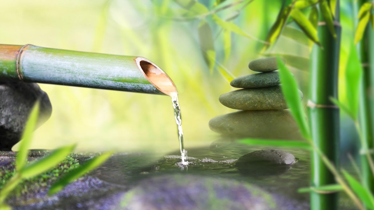 Relaxing Music Bamboo Water Sounds for Sleeping, Meditation Music ...