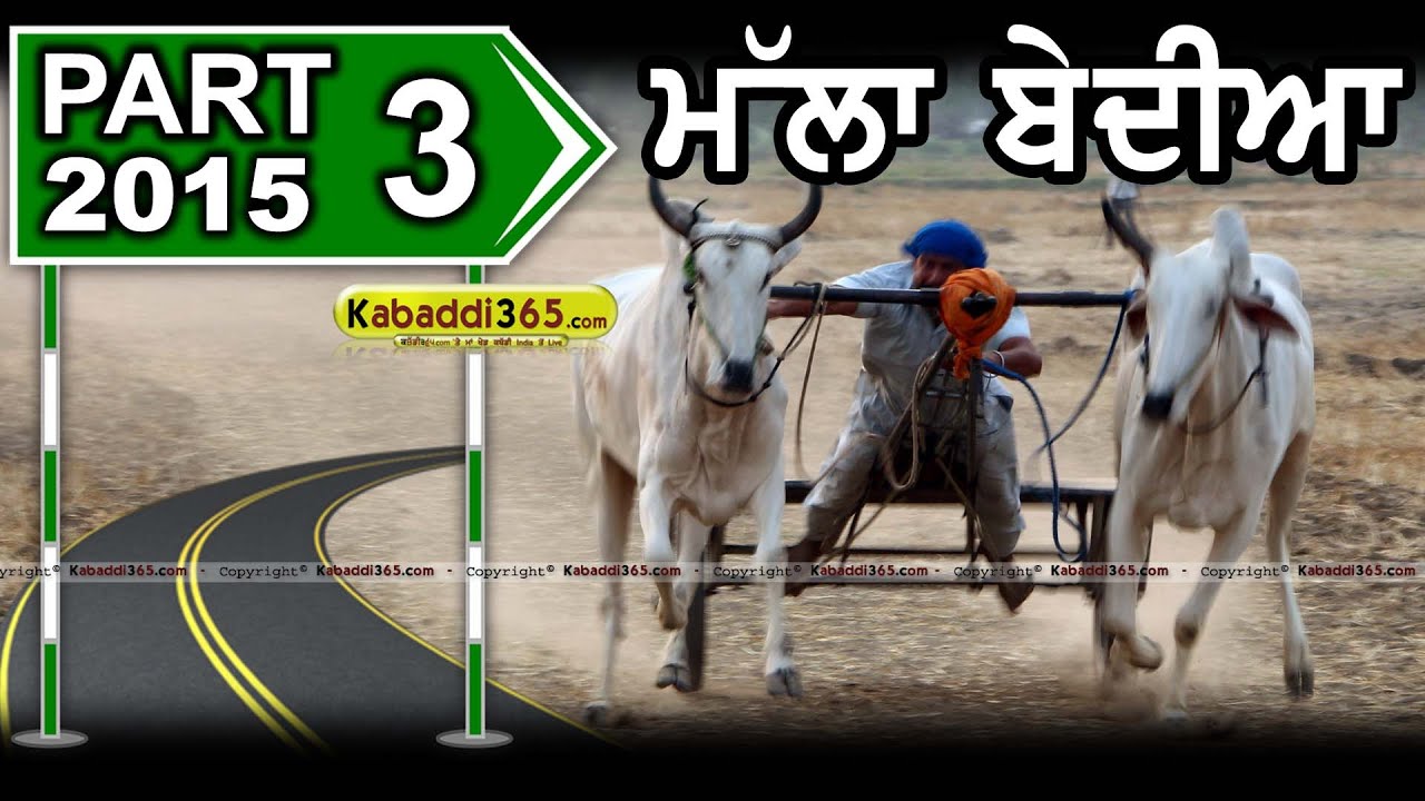 (3) Mallan Bedian (Nawanshahr) Ox Race 28 May 2015 - YouTube