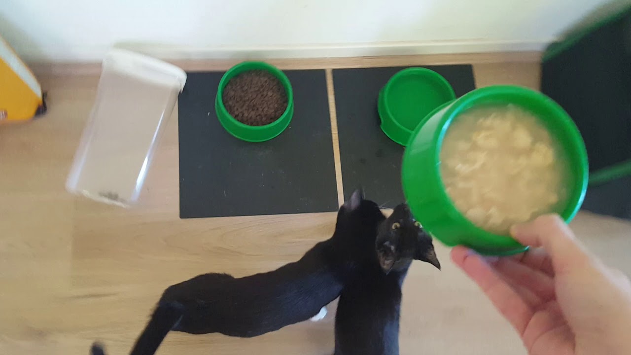 FOOD Is The Best YouTube food-is-the-best-youtube