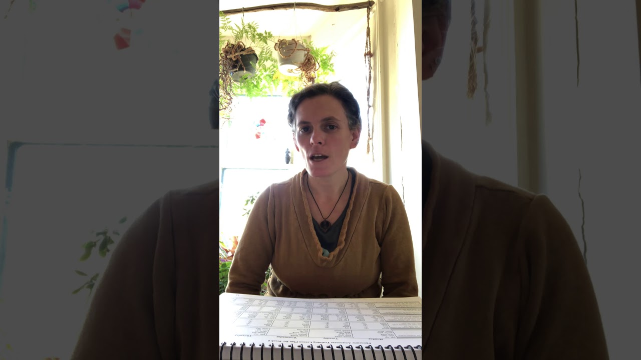 Heggerty Pre K week 6 - YouTube