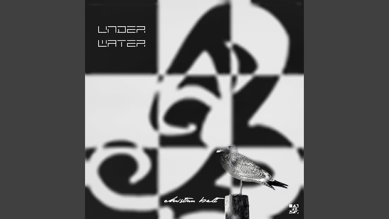 Birds of Acid - YouTube