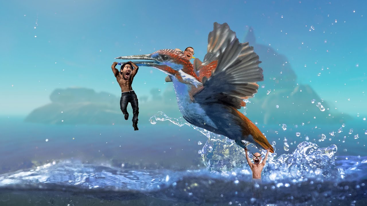 birds… | Raft - YouTube