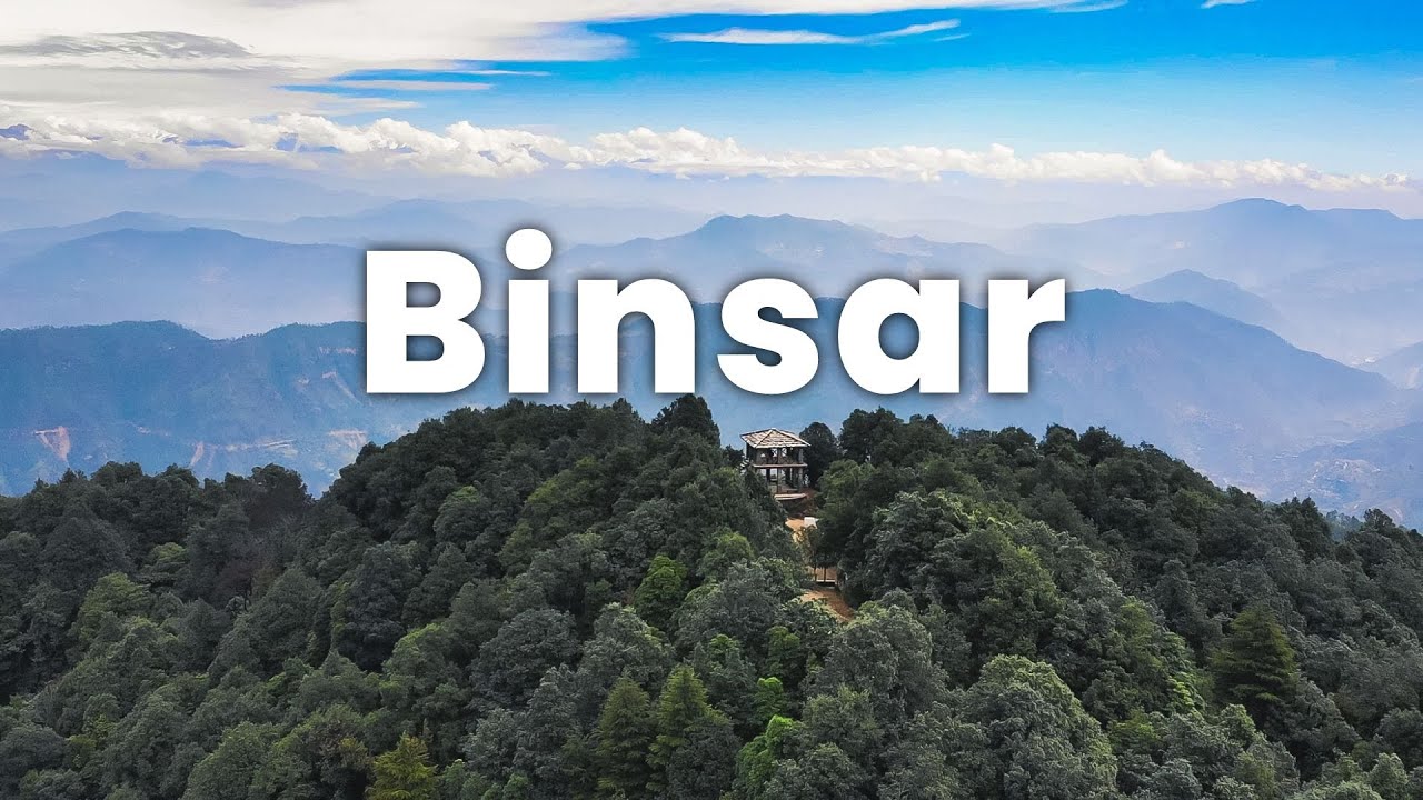 Binsar Forest Trek - Full Guided Tour | Entry Ticket, Time Needed and ...