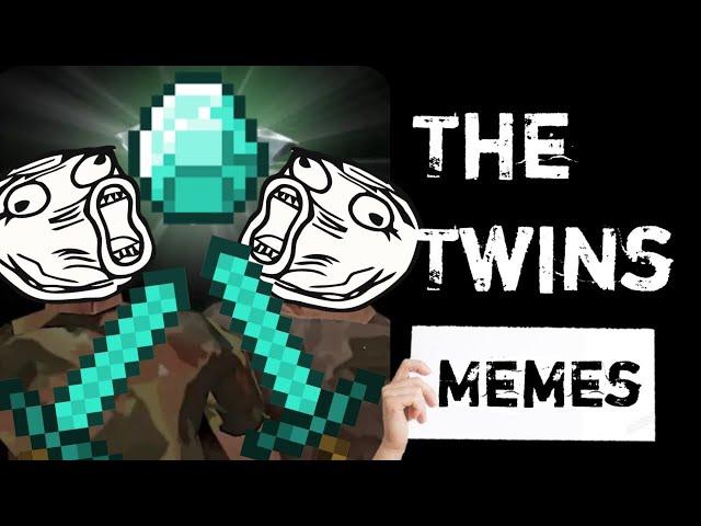 Identical Twins Memes Twins Memes & GIFs Imgflip