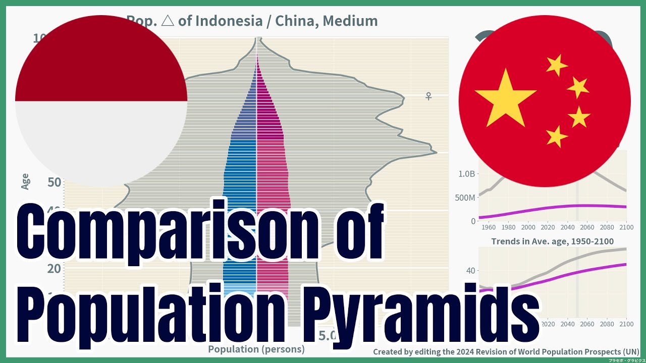 [🇮🇩Indonesia vs 🇨🇳China] Comparison of Population Pyramids (1950-2100 ...