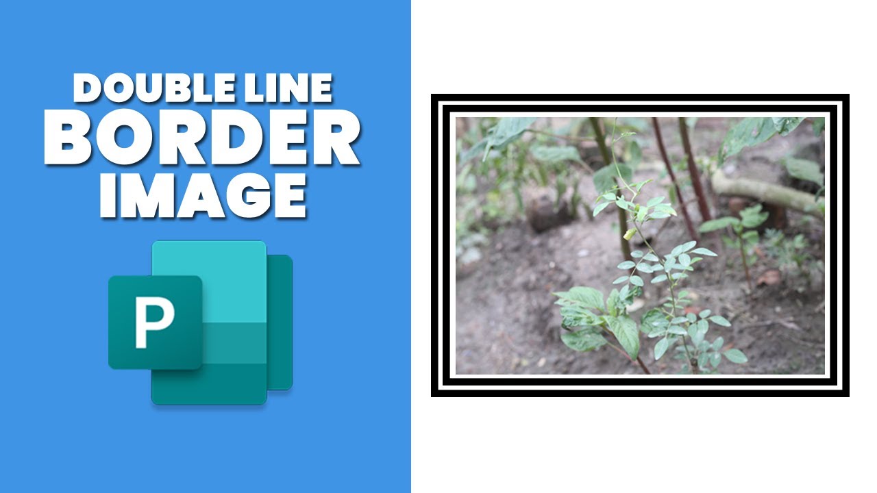 How to create double line border to image in publisher - YouTube