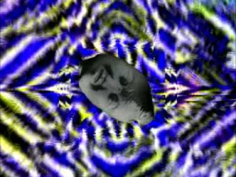 Meatspin (VID version)