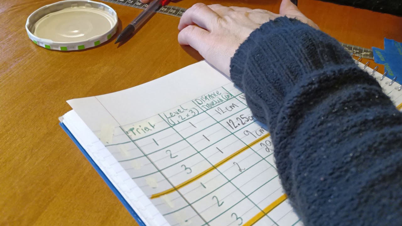 Amplify Force & Motion Ch 1 L 4 Lab Spring Level 2 - YouTube