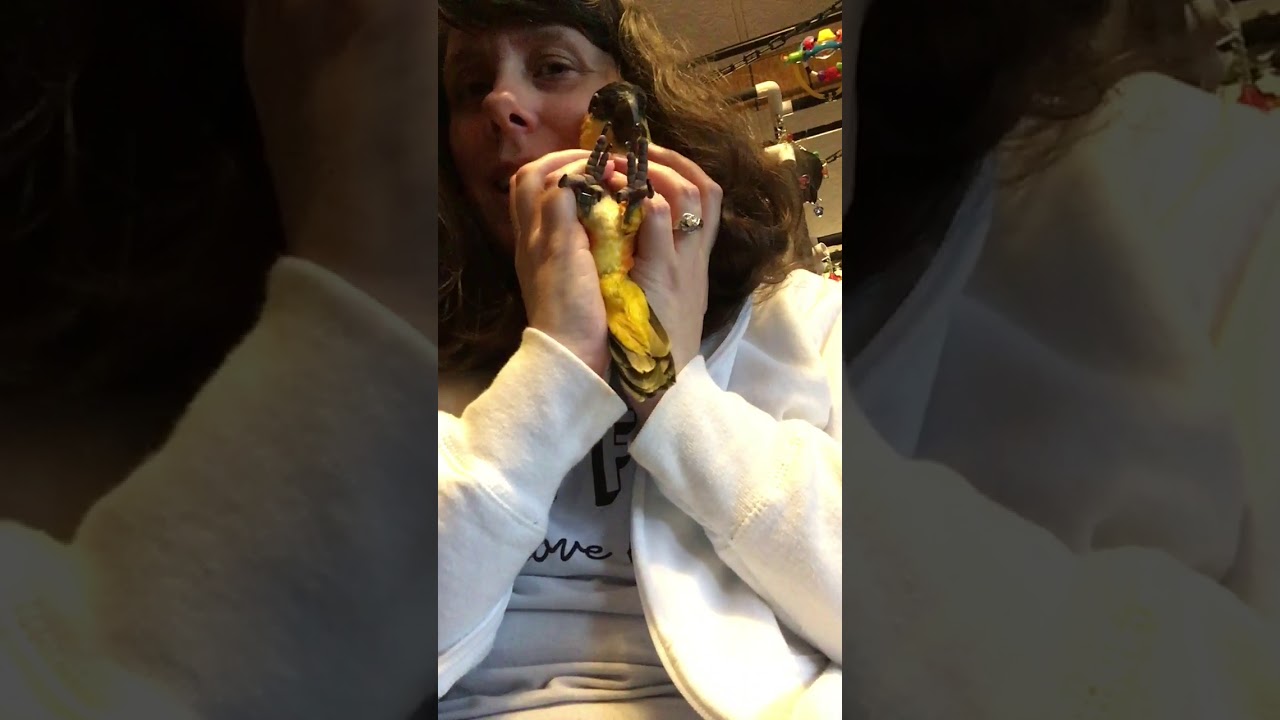 Sprouts feet yummy yummy - YouTube