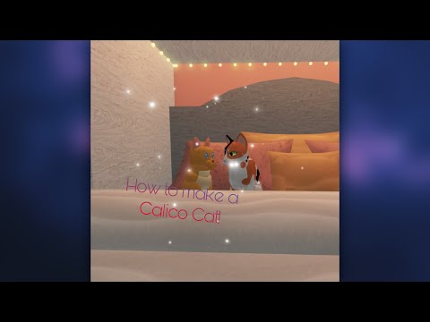 How to Make a Calico Cat - YouTube