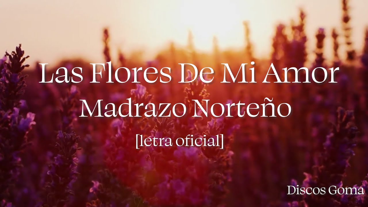 Las Flores De Mi Amor- Madrazo Norteño [Letra Oficial] - YouTube