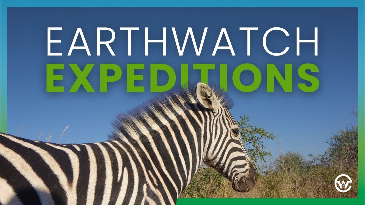 Earthwatch Expeditions: Travel with Purpose. - YouTube