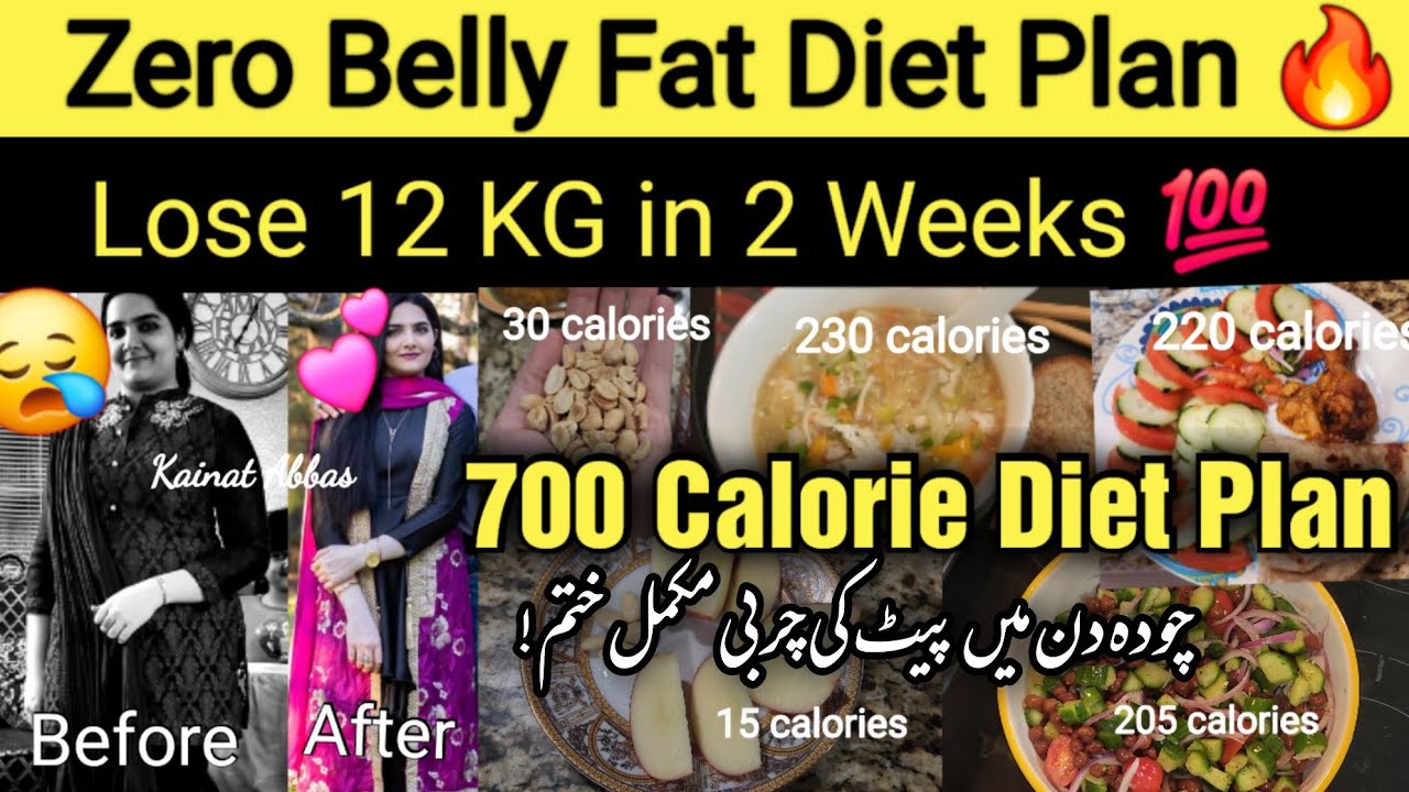 Zero Belly Fat Diet Plan | 700 Calorie Diet | Lose 12 KG in 2 weeks |Burn your belly fat ...