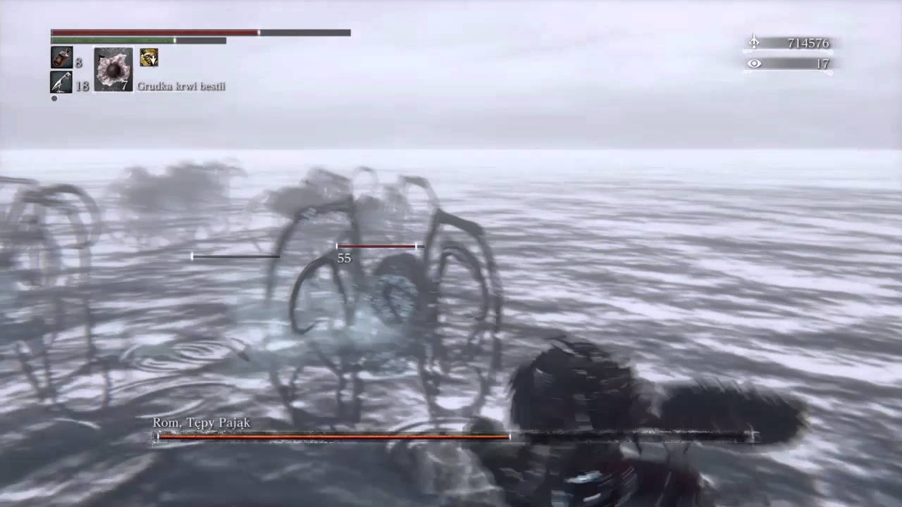 Bloodborne - Loch Shield - YouTube