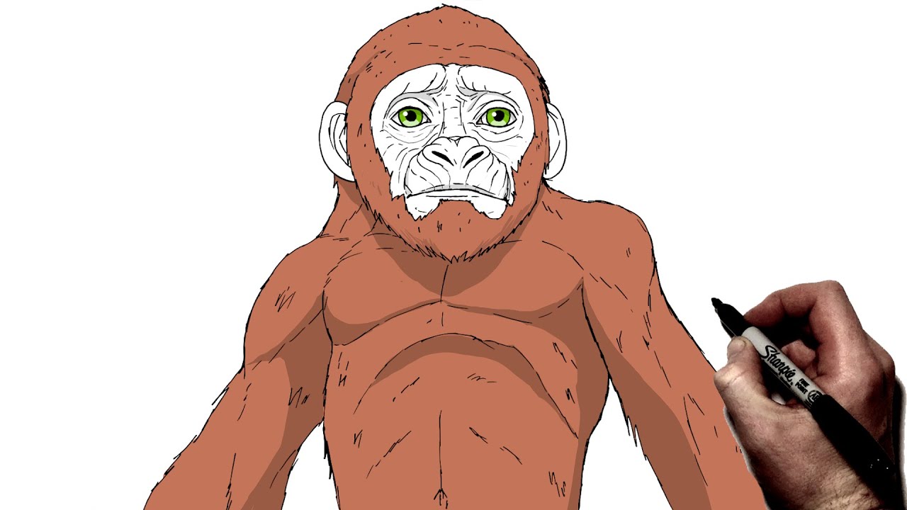 How To Draw Mini Kong Suko | Step By Step | Godzilla x Kong - YouTube
