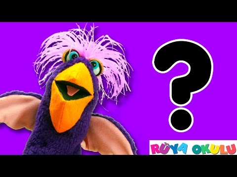 Renkleri Öğreniyorum - Mor - Bir Renk Söyle - Çocuk Şarkısı - RÜYA OKULU