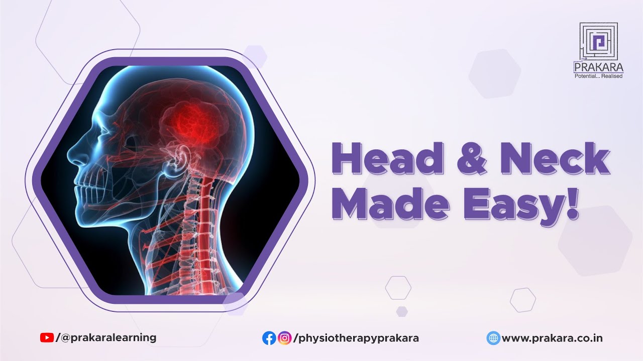 Simplifying Head and Neck Anatomy for Aspiring Physiotherapy Experts ...