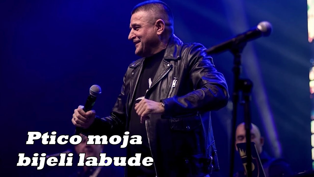 Baja Mali Knindza - Ptico moja bijeli labude (Backa Palanka, UZIVO ...