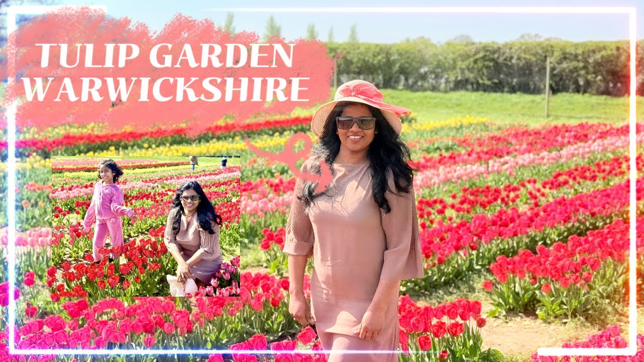 Tulip Fields Tulleys Tulip Garden Hatton 🇬🇧 Exploring the Most ...