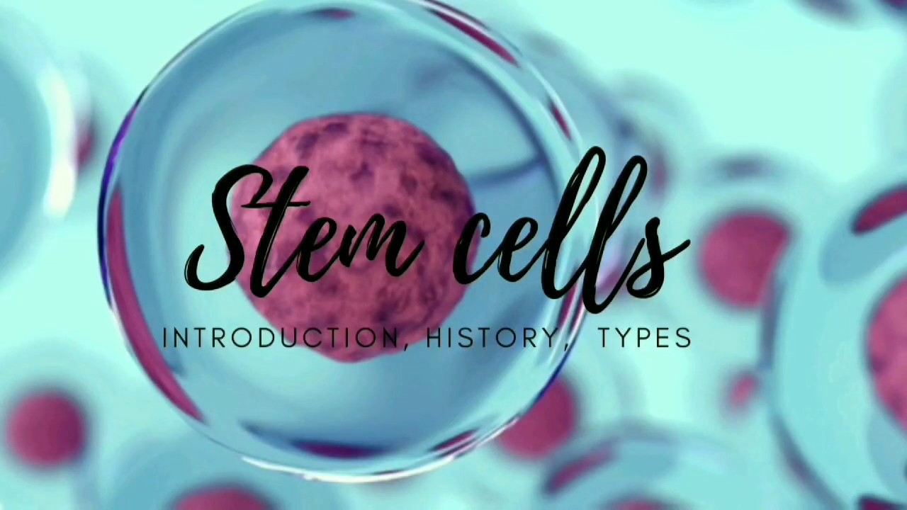 Stem Cells- Introduction ,History and Types - YouTube