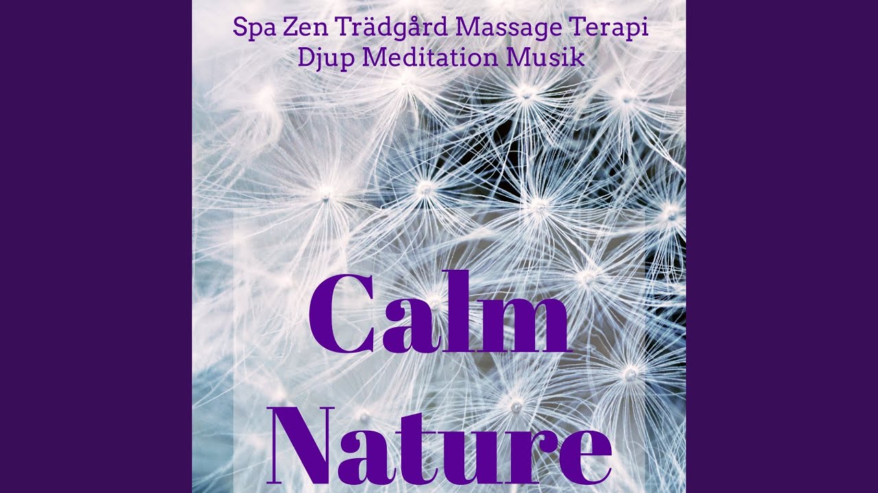 Water Drops (Mindfulness Meditation) - YouTube