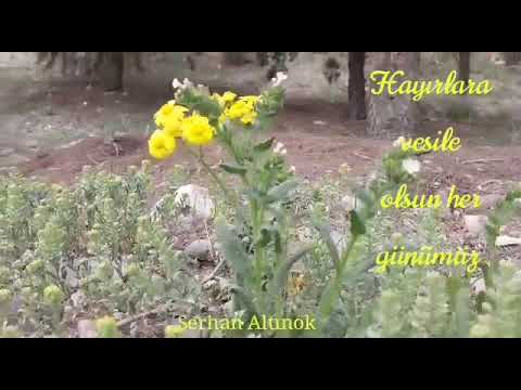 🌹Ankara'da gezerken