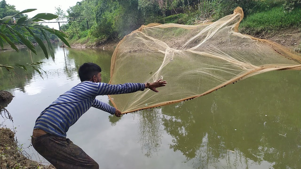 Net Fishing | Catching Lot of Fish By Cast Net - YouTube