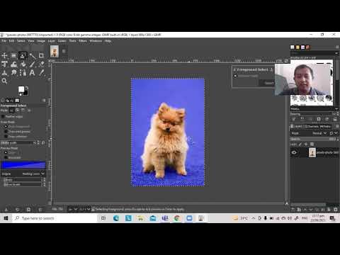 Erase the background in Gimp using the foreground select tool - YouTube