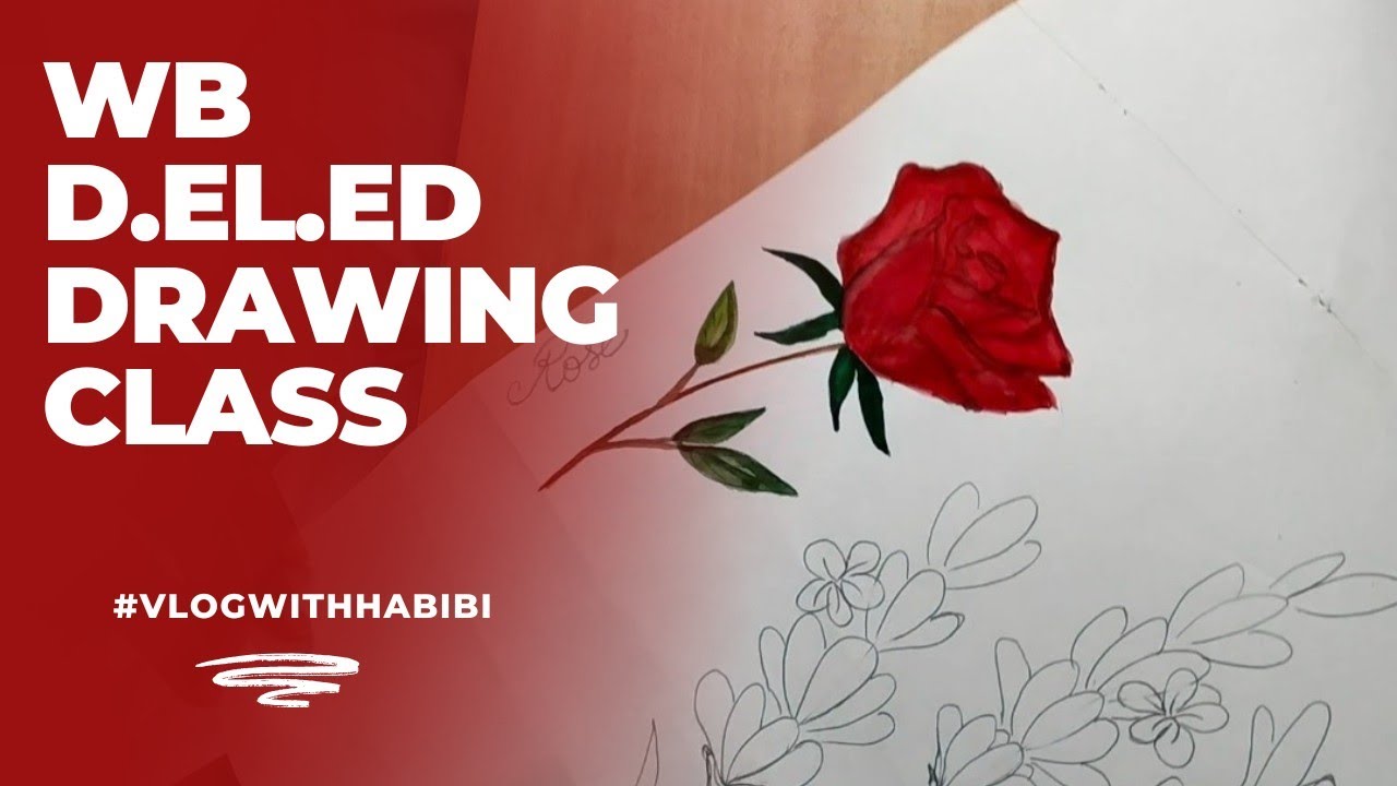 WB D.EL.ED. Drawing class, #vlogwithhabibi - YouTube