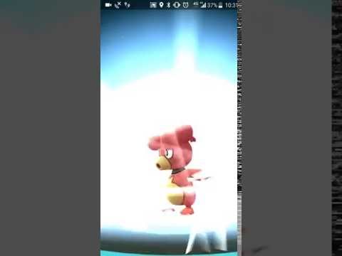 Magby Evolution - YouTube