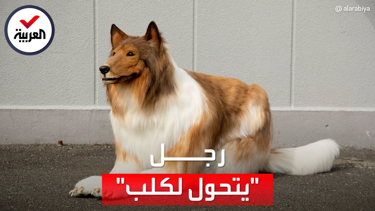ياباني يتحول لكلب بعدما أنفق 2 مليون ين Youtube