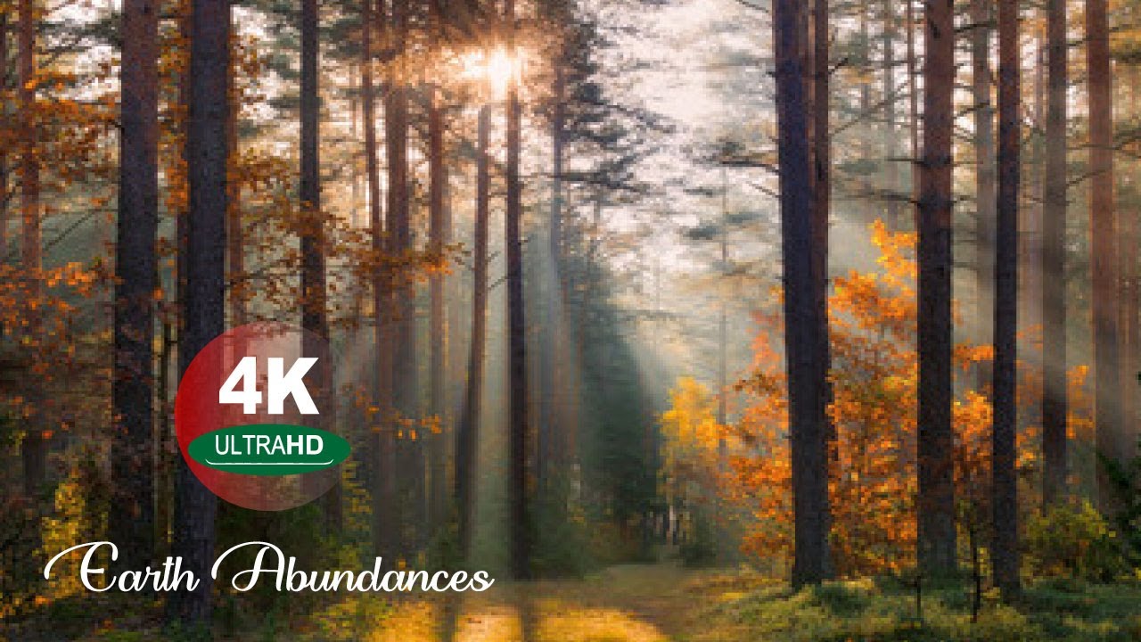 Unbelievable Relief - Nature's Twist on Stress, 4K Ultra HD 🍀 Earth ...