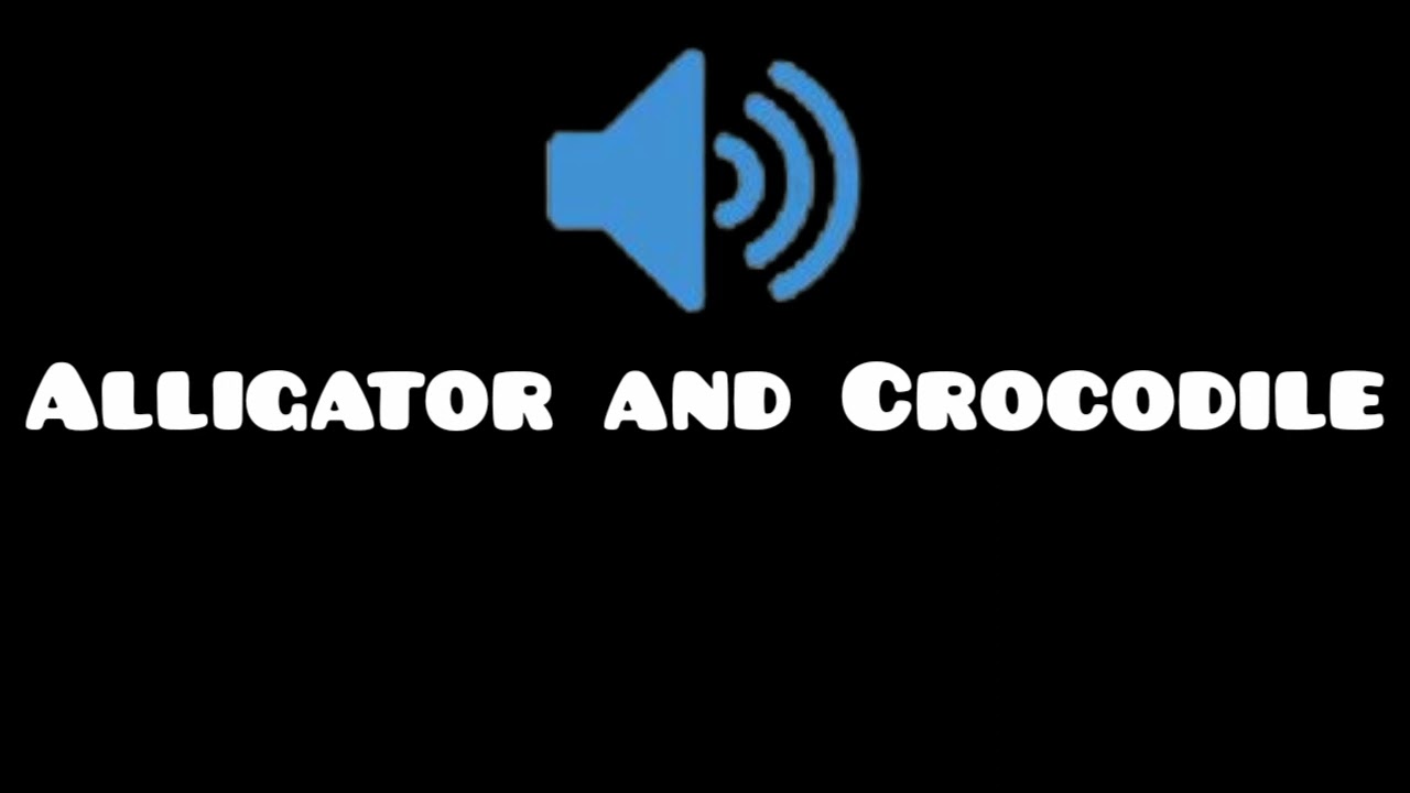 Alligator and Crocodile sound effects. Alligator hiss, angry 2. Sound ...