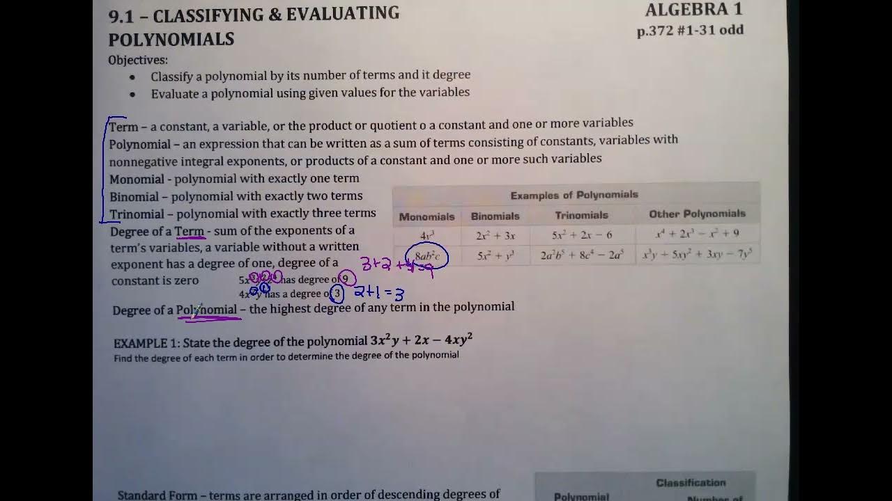 A1 9.1 classifying & Evaluating Polynomials - YouTube